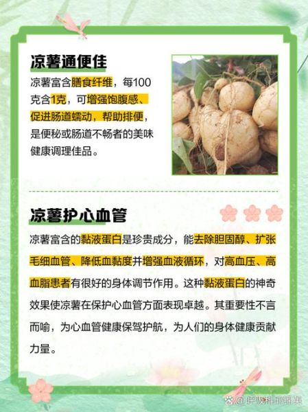 女人吃白地瓜的好处有哪些_白地瓜能减肥吗-第2张图片-山城妙识 女人吃白地瓜的好处有哪些_白地瓜能减肥吗-第2张图片-山城妙识