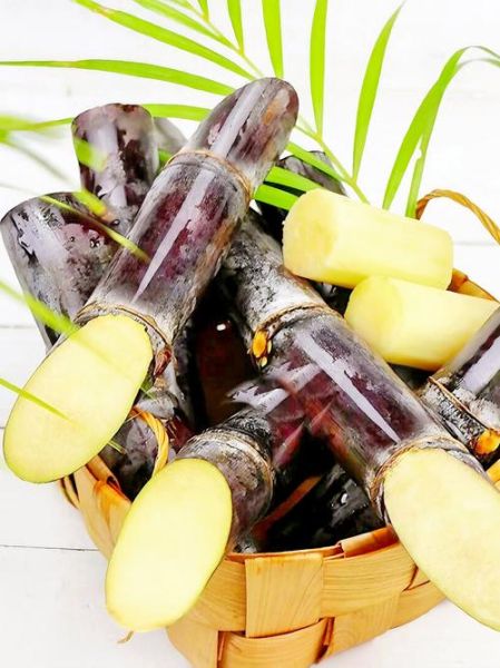 甘蔗图片怎么拍好看_甘蔗高清图片素材哪里找-第1张图片-山城妙识