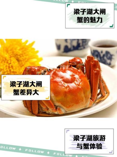 梁子湖大闸蟹几月份吃_什么时候最肥-第1张图片-山城妙识 梁子湖大闸蟹几月份吃_什么时候最肥-第1张图片-山城妙识