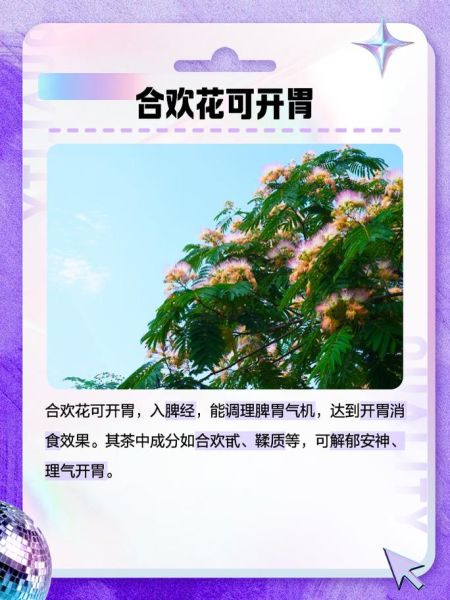 合欢花有什么功效与副作用_适合长期泡水喝吗-第3张图片-山城妙识