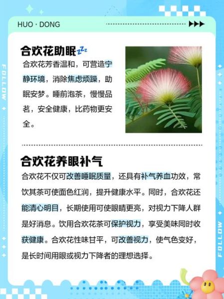 合欢花有什么功效与副作用_适合长期泡水喝吗-第2张图片-山城妙识