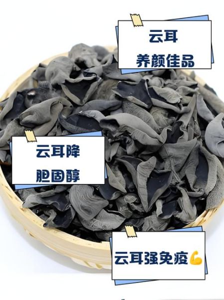云耳怎么泡发_云耳的功效与作用-第1张图片-山城妙识 云耳怎么泡发_云耳的功效与作用-第1张图片-山城妙识
