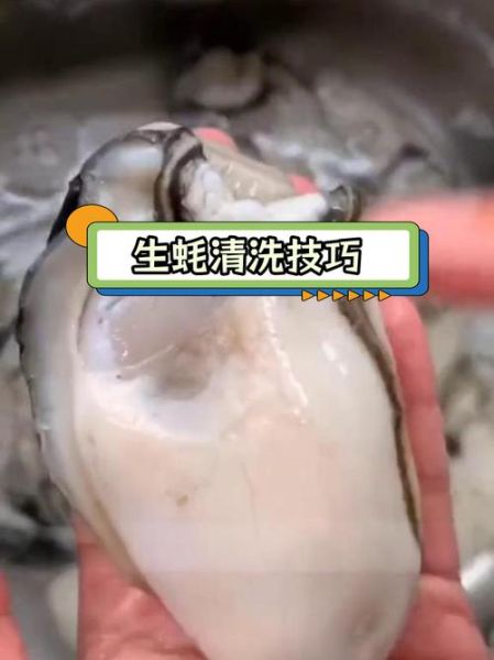 生蚝怎么处理干净内脏_清蒸生蚝内脏清理步骤-第2张图片-山城妙识
