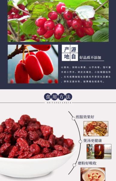 山茱萸图片功效与作用_山茱萸怎么吃效果最好-第1张图片-山城妙识