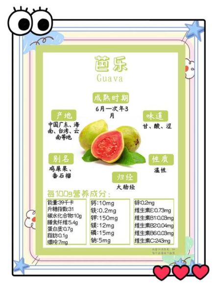 番石榴果的功效与作用_番石榴怎么吃才正确-第1张图片-山城妙识 番石榴果的功效与作用_番石榴怎么吃才正确-第1张图片-山城妙识