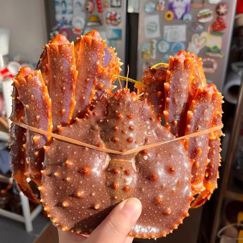 澳洲皇帝蟹多少钱一斤_澳洲皇帝蟹价格2024-第2张图片-山城妙识 澳洲皇帝蟹多少钱一斤_澳洲皇帝蟹价格2024-第2张图片-山城妙识