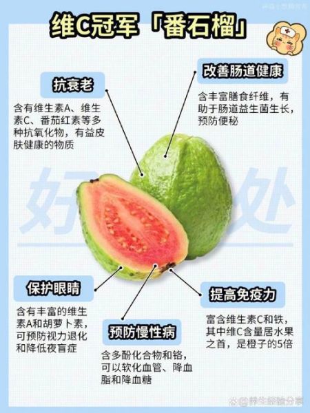 番石榴果的功效与作用_番石榴怎么吃才正确-第3张图片-山城妙识 番石榴果的功效与作用_番石榴怎么吃才正确-第3张图片-山城妙识