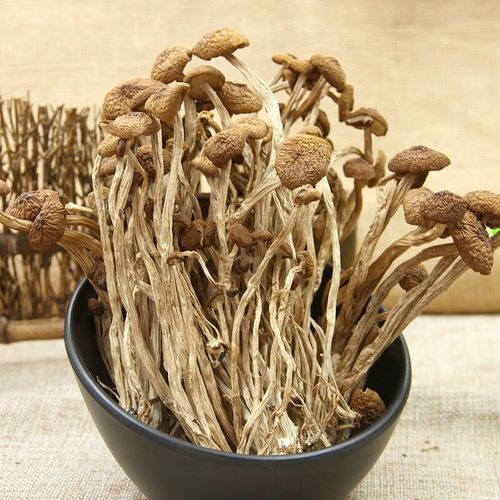 干茶树菇的功效与作用_干茶树菇怎么吃最营养-第2张图片-山城妙识 干茶树菇的功效与作用_干茶树菇怎么吃最营养-第2张图片-山城妙识