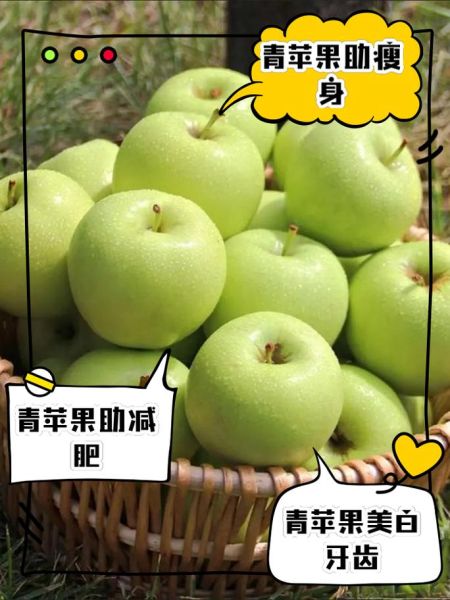 青苹果热量是多少_减肥能吃吗-第1张图片-山城妙识 青苹果热量是多少_减肥能吃吗-第1张图片-山城妙识