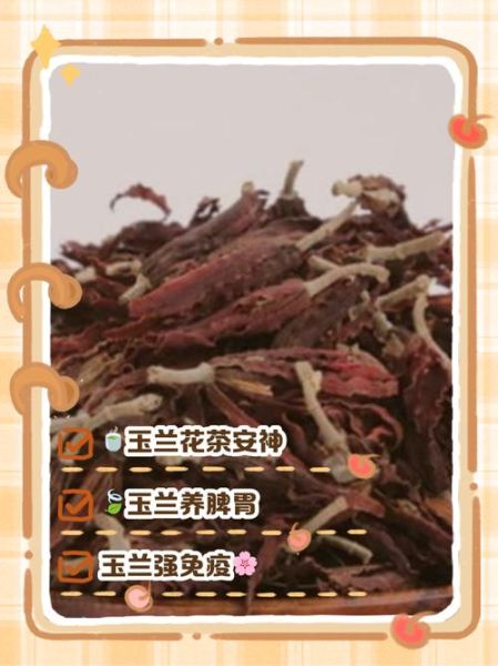 玉兰花茶的功效与作用_适合什么人喝-第1张图片-山城妙识