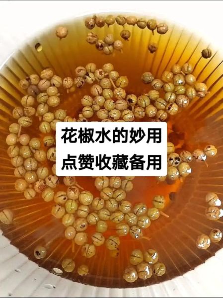 花椒水怎么煮治妇科病_花椒水治妇科炎症有效吗-第1张图片-山城妙识 花椒水怎么煮治妇科病_花椒水治妇科炎症有效吗-第1张图片-山城妙识