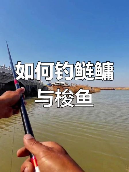 梭鱼怎么钓_梭鱼钓法技巧-第3张图片-山城妙识