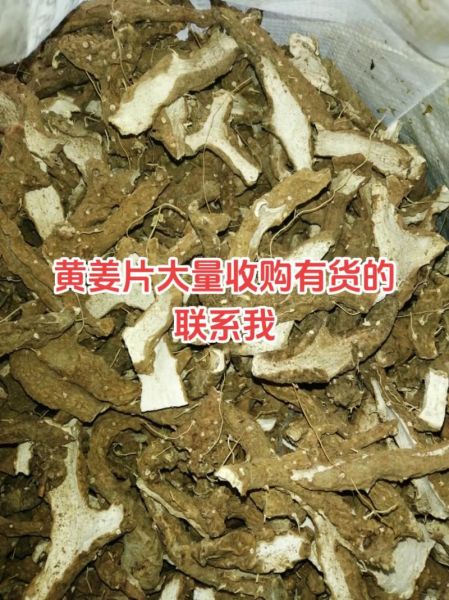 姜黄价格多少钱一斤_姜黄多少钱一斤2024-第1张图片-山城妙识 姜黄价格多少钱一斤_姜黄多少钱一斤2024-第1张图片-山城妙识