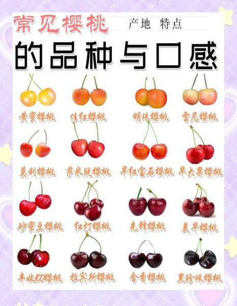 车厘子和樱桃的区别_哪个更甜更好吃-第2张图片-山城妙识 车厘子和樱桃的区别_哪个更甜更好吃-第2张图片-山城妙识