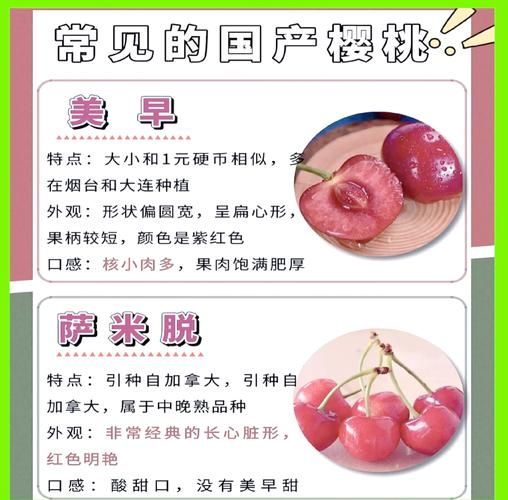 车厘子和樱桃的区别_哪个更甜更好吃-第1张图片-山城妙识 车厘子和樱桃的区别_哪个更甜更好吃-第1张图片-山城妙识