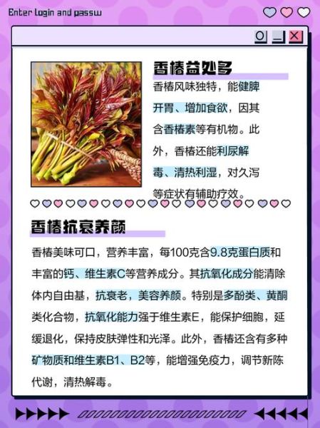 香椿的功效与作用_什么人不能吃-第3张图片-山城妙识 香椿的功效与作用_什么人不能吃-第3张图片-山城妙识