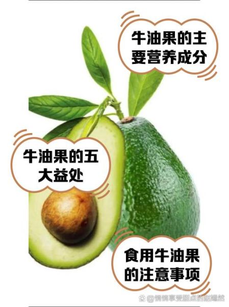 牛油果的营养价值_牛油果的功效与作用-第1张图片-山城妙识