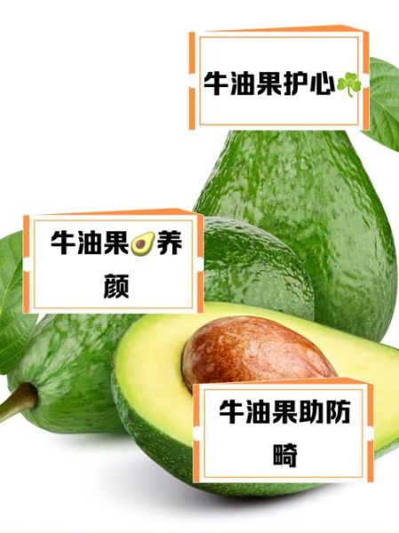 牛油果的营养价值_牛油果的功效与作用-第2张图片-山城妙识