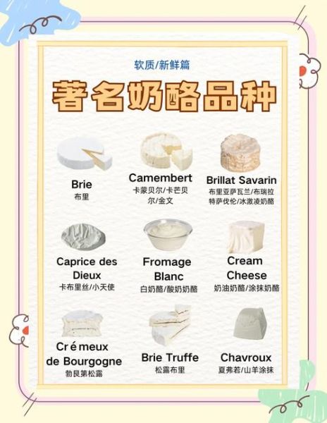 cheese和乳酪的区别_乳酪英文怎么说-第2张图片-山城妙识