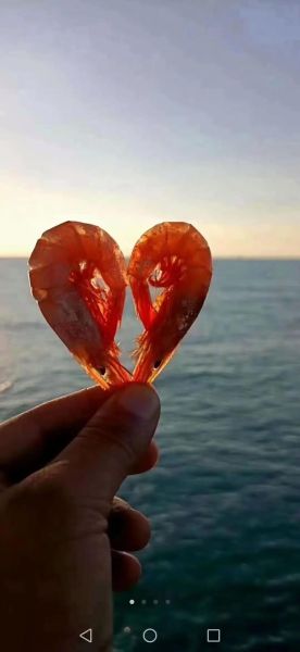 野生对虾怎么做好吃_野生对虾的家常做法-第1张图片-山城妙识 野生对虾怎么做好吃_野生对虾的家常做法-第1张图片-山城妙识