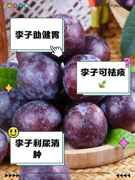 小李子吃多了会怎么样_李子一次吃多少合适-第1张图片-山城妙识 小李子吃多了会怎么样_李子一次吃多少合适-第1张图片-山城妙识