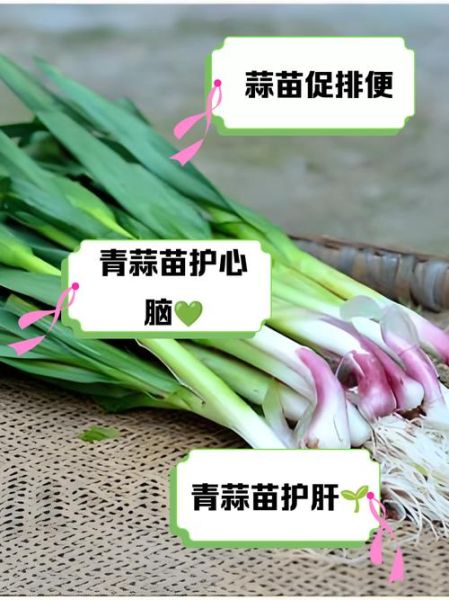 青蒜苗怎么种_青蒜苗种植技术-第2张图片-山城妙识 青蒜苗怎么种_青蒜苗种植技术-第2张图片-山城妙识