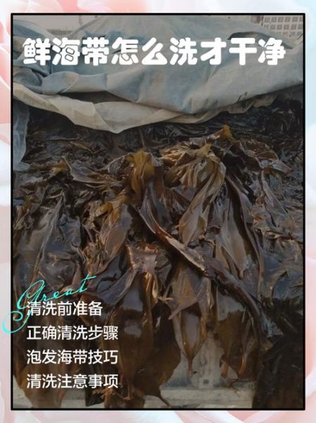海带怎么洗干净_海带清洗的正确方法-第1张图片-山城妙识 海带怎么洗干净_海带清洗的正确方法-第1张图片-山城妙识