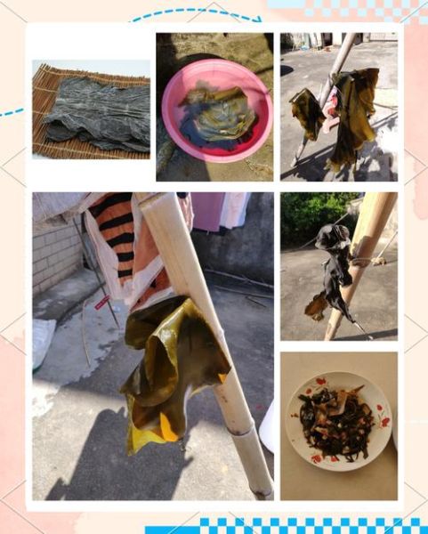 海带怎么洗干净_海带清洗的正确方法-第2张图片-山城妙识 海带怎么洗干净_海带清洗的正确方法-第2张图片-山城妙识