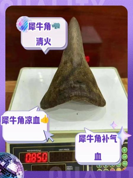 犀牛角的功效与作用_犀牛角能治什么病-第1张图片-山城妙识 犀牛角的功效与作用_犀牛角能治什么病-第1张图片-山城妙识