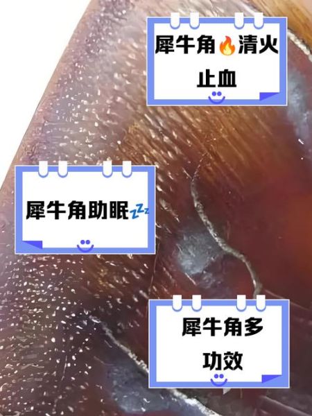 犀牛角的功效与作用_犀牛角能治什么病-第2张图片-山城妙识 犀牛角的功效与作用_犀牛角能治什么病-第2张图片-山城妙识
