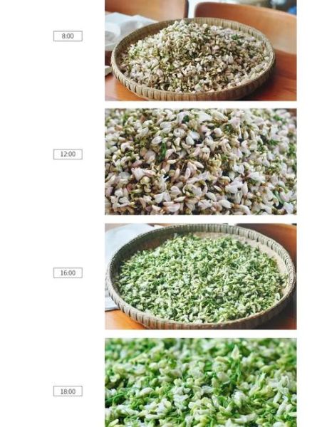 干槐花怎么吃好吃又简单_干槐花家常做法-第1张图片-山城妙识 干槐花怎么吃好吃又简单_干槐花家常做法-第1张图片-山城妙识