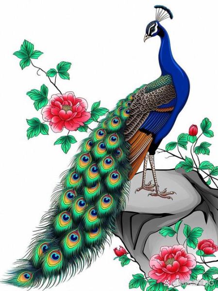 孔雀开屏是什么意思_孔雀开屏的寓意有哪些-第3张图片-山城妙识 孔雀开屏是什么意思_孔雀开屏的寓意有哪些-第3张图片-山城妙识