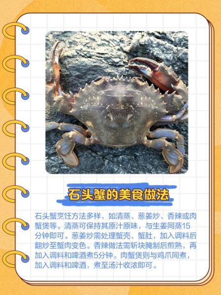 石蟹怎么做好吃_石蟹和梭子蟹区别-第2张图片-山城妙识 石蟹怎么做好吃_石蟹和梭子蟹区别-第2张图片-山城妙识