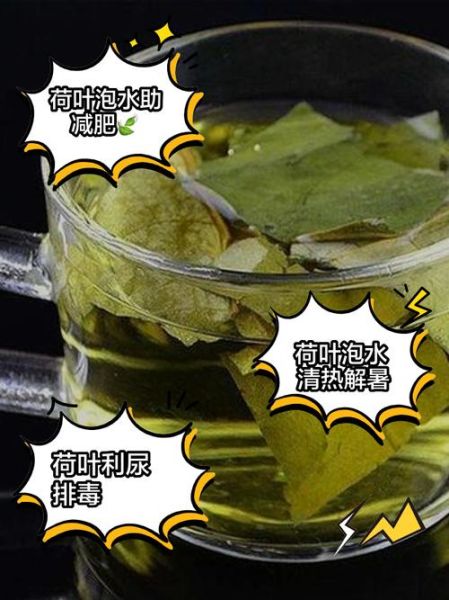 荷叶泡水喝的功效与作用_荷叶泡水喝的禁忌-第2张图片-山城妙识 荷叶泡水喝的功效与作用_荷叶泡水喝的禁忌-第2张图片-山城妙识