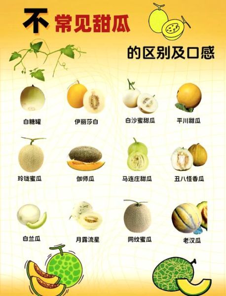 伊丽莎白瓜皮能吃吗_伊丽莎白瓜皮怎么吃-第1张图片-山城妙识