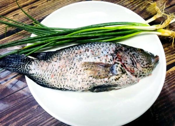 花斑鱼图片大全高清_花斑鱼长什么样-第1张图片-山城妙识 花斑鱼图片大全高清_花斑鱼长什么样-第1张图片-山城妙识