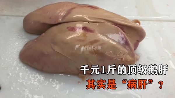 鹅肝为什么残忍_鹅肝制作过程-第2张图片-山城妙识 鹅肝为什么残忍_鹅肝制作过程-第2张图片-山城妙识