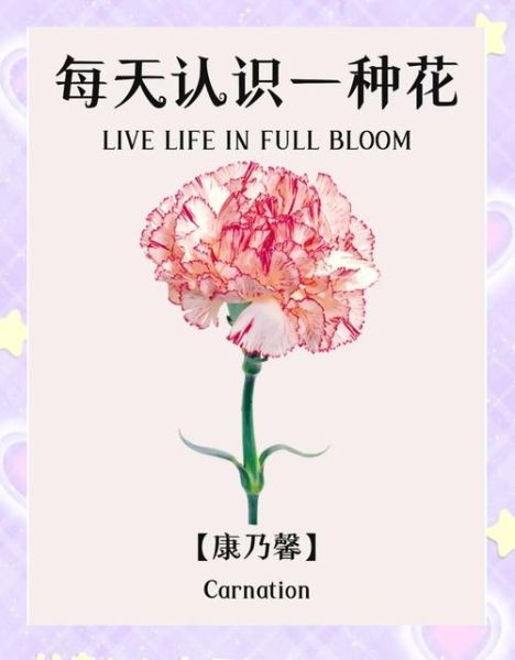 康乃馨花语是什么_康乃馨图片大全高清-第2张图片-山城妙识 康乃馨花语是什么_康乃馨图片大全高清-第2张图片-山城妙识