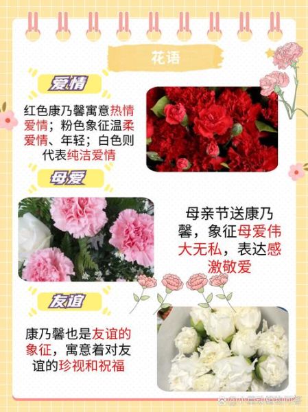 康乃馨花语是什么_康乃馨图片大全高清-第3张图片-山城妙识 康乃馨花语是什么_康乃馨图片大全高清-第3张图片-山城妙识