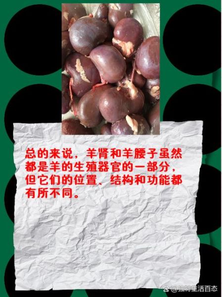 烧烤羊腰子的功效与作用_羊腰子补肾壮阳是真的吗-第1张图片-山城妙识 烧烤羊腰子的功效与作用_羊腰子补肾壮阳是真的吗-第1张图片-山城妙识