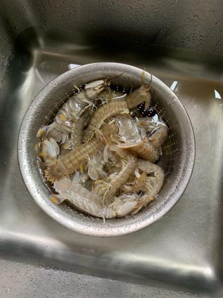 皮皮虾怎么清洗_皮皮虾清洗视频教程-第1张图片-山城妙识 皮皮虾怎么清洗_皮皮虾清洗视频教程-第1张图片-山城妙识