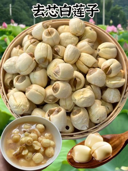 湘莲子是什么_湘莲子功效与作用-第1张图片-山城妙识 湘莲子是什么_湘莲子功效与作用-第1张图片-山城妙识