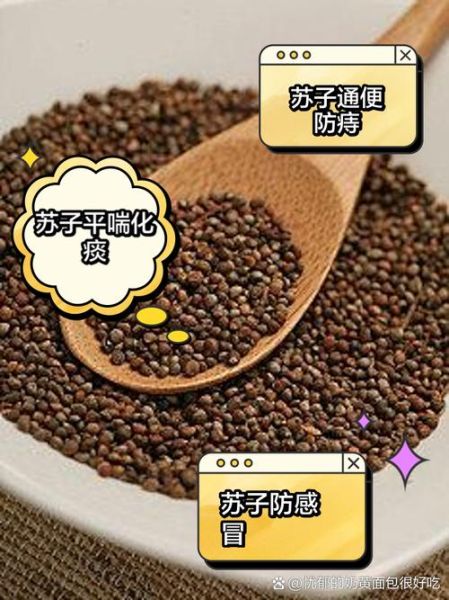 苏子的功效与作用_苏子怎么吃效果最好-第3张图片-山城妙识 苏子的功效与作用_苏子怎么吃效果最好-第3张图片-山城妙识