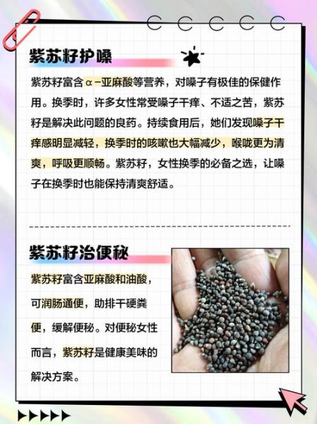 苏子的功效与作用_苏子怎么吃效果最好-第2张图片-山城妙识 苏子的功效与作用_苏子怎么吃效果最好-第2张图片-山城妙识