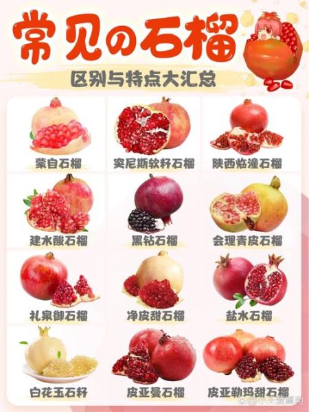 石榴哪里的最好吃_全国石榴产地排名-第3张图片-山城妙识
