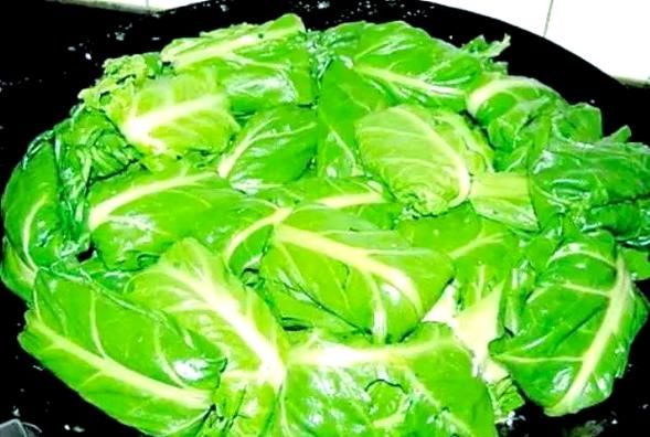 君达菜图片_君达菜长什么样-第3张图片-山城妙识