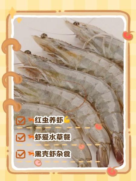 小河虾吃什么_小河虾食物清单-第1张图片-山城妙识