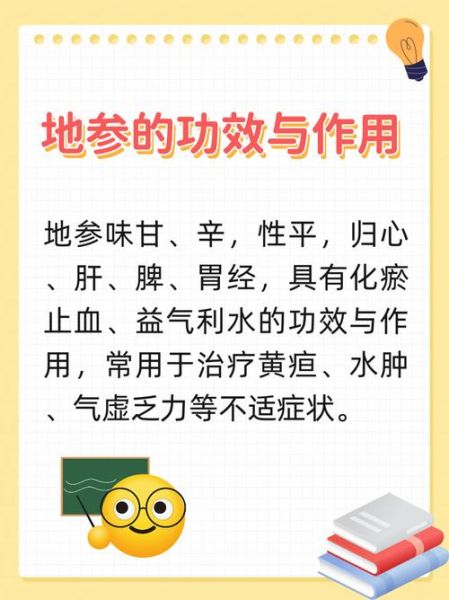 地参的功效与作用及食用方法_地参怎么吃效果最好-第1张图片-山城妙识 地参的功效与作用及食用方法_地参怎么吃效果最好-第1张图片-山城妙识