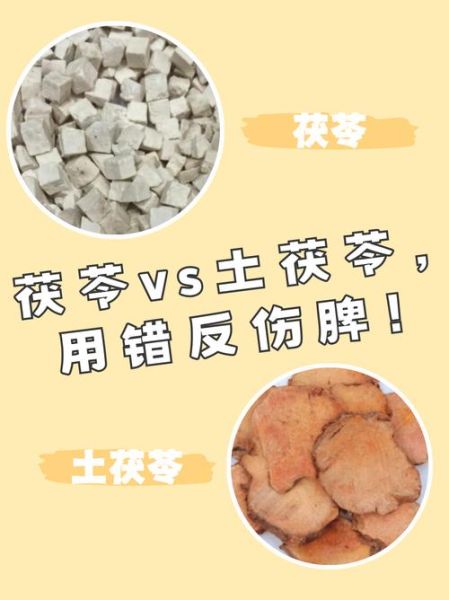 茯苓与土茯苓的区别_怎么区分真假-第3张图片-山城妙识 茯苓与土茯苓的区别_怎么区分真假-第3张图片-山城妙识