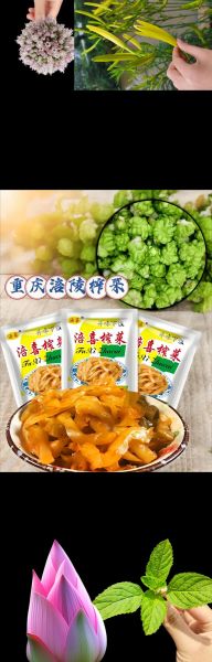 榨菜哪个牌子好吃_榨菜品牌排行榜前十名-第2张图片-山城妙识 榨菜哪个牌子好吃_榨菜品牌排行榜前十名-第2张图片-山城妙识